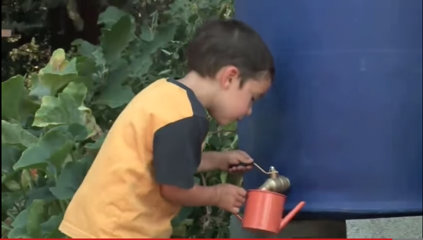 Simple Rainwater Collection System For The Novice - Truth And Action